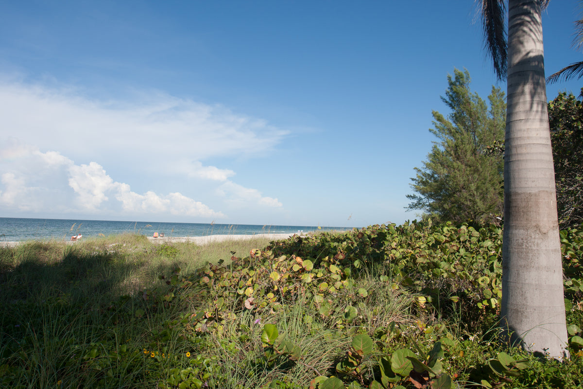 We love Manatee Co. – The Local Manatee